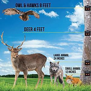 Solar Predator Control Light 4-Pack – Animal Repellent Outdoor – Motion Activated Animal Repellent – Deer Repellent Devices – Cat Repellent – Animal Repellent for Gardens – Fox Repellent – Eye Guard