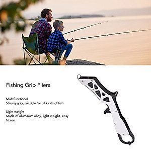 Professional Fish Holder , Fish Lip Gripper , Fish Holder Control Accessories Portable Lightweight Aluminium Alloy Loading Capacity Fishing Tool(Silver) , fish gripper fish scale fish lip gripper fish
