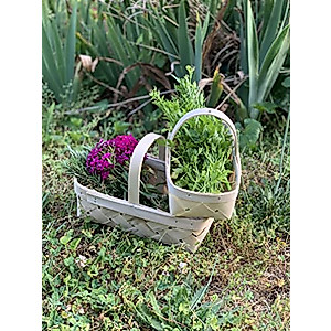 BERT'S GARDEN Farm Stand Nesting Baskets with Handles, Produce Baskets, Natural Wooden Baskets, Use as a Planter, Make Gift Baskets 2 Pack