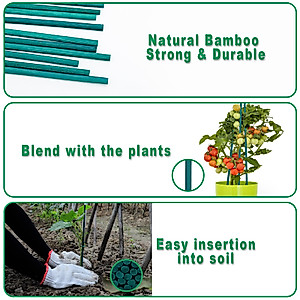 PERSZEN Plant Stakes 50 PCS Garden Green Bamboo Sticks Plant Support Stakes for Indoor and Outdoor Plants, Wooden Sign Posting Flower Pot Garden Stakes(15" 25pcs+17" 25pcs)