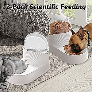 BNOSDM Automatic 2 Pcs Cat Dog Feeders Cat Food and Water Dispenser Set 2L Gravity Pet Food Feeder Water Bowl Dispenser, Self Feeding Station for Cat Puppy Small Dog