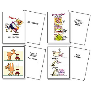 Stonehouse Collection 48 Different Funny Birthday Cards - Assorted Birthday Card Box Set of 48 Card & Envelopes