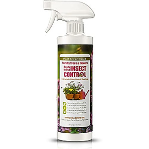 EcoVenger (Formerly EcoRaider) Garden Insect Control 16OZ, Plant Extract Based, Indoor & Outdoor, Kills Aphids, Mealybugs, Spider Mites and Gnats All Stages and Eggs, Non-Toxic Child & Pets Safe