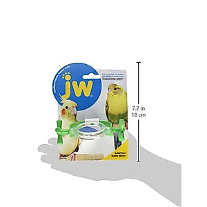 JW Pet Company Activitoy Rattle Mirror Small Bird Toy, Colors Vary