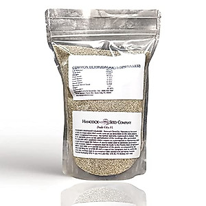 Hancock Seed Co. Common Bermuda Grass Seeds- Raw & Unhulled - 5 lbs.