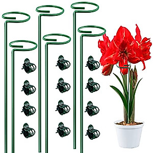 Dreecy 6 Pack 16 Inch Orchid Support Stakes with 12 Pcs Clips, Sturdy Metal Floral Flower Support Garden Single Stem Plant Stakes for Amaryllis Orchid Tomatoes Lily Rose Peony,Dark Green