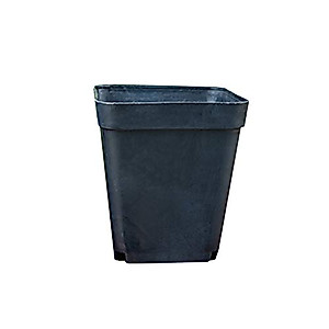 NUOBESTY 2 Inch Black Square Flower Pots Small Plastic Plant Pots 100PCS Square Flower Plant Pots Mini Succulent Pot for Cactus Bonsai