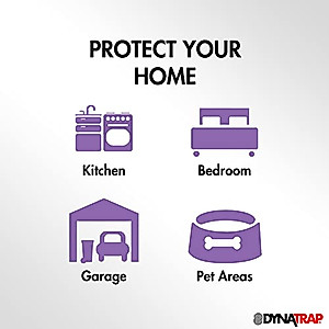 DynaTrap DT152 Indoor Insect Trap and Killer – Catches and Kills Fruit Flies, Gnats, Moths, Mosquitoes & Other Flying Insects