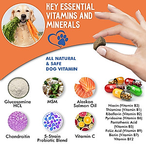 ZenBites 12-in-1 Dog Vitamins & Probiotics 120 Soft Chews - Organic Multivitamin with Glucosamine for Dogs - Joint Support Supplement for Dogs of All Ages,Sizes, & Breeds,Supports Skin,Heart,Immunity