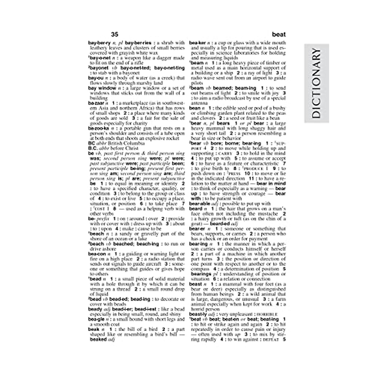 Webster's Dictionary & Thesaurus for Students with Full-Color World Atlas, Third Edition