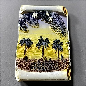 St. Maarten ST.Martin France Netherlands Refrigerator Magnet Travel Souvenir 3D Fridge Decoration Magnetic Sticker Craft Collection