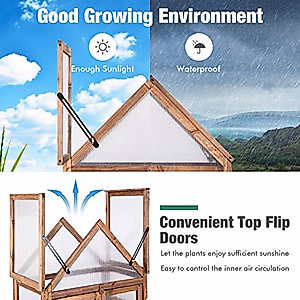 Giantex 3-Tier Garden Cold Frame, Portable Wooden Mini Greenhouse Storage Shelves, Transparent Flip-Top Roof, Indoor & Outdoor Raised Flower Planter for Garden, Patio, Balcony