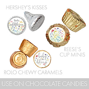 Little Wildflower Baby Shower Chocolate Kisses Candy Stickers, Baby in Bloom Decorations, She's a Wildflower Party Favor Stickers, It's a Girl Spring and Summer - 180 Count