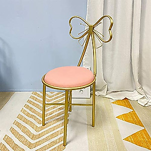 Wrought Iron Dressing Stool, Makeup Vanity Chairs Set of 2 with Butterfly Bow Tie Backrest Bedroom Princess Chair Girls Ladies Creative Makeup Stool (Leather- Pink)