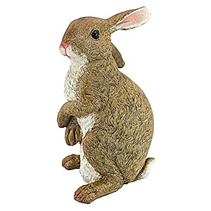 Design Toscano QM200681 Hopper The Bunny Standing Rabbit Outdoor Garden Statue, 11 Inch, full color