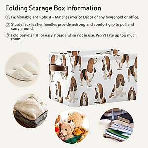 susiyo Large Foldable Storage Bin Basset Hound Dogs Fabric Closet Storage Baskets Collapsible Decorative Baskets Organizing Basket Bin for Shelves Closet Home Bedroom Living Room-1Pack