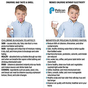Pelican Water Replacement 10 in. Sediment Filter & O-Ring