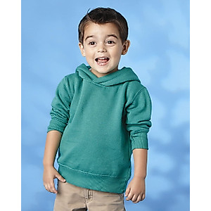 Wild Bobby Green Monster Truck with Firey Flames Cars and Trucks Toddler Pullover Fleece Hoodie, Red, 5T/6T