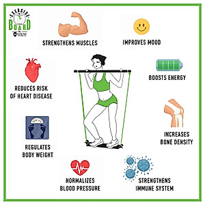 Home Workout Equipment for Women. Home Gym Equipment. Home Exercise Equipment Women. Portable Workout Home. Total Body Workout. Travel Gym. Crossfit Equipment. Home Fitness Equipment | EXERCISE BOARD.