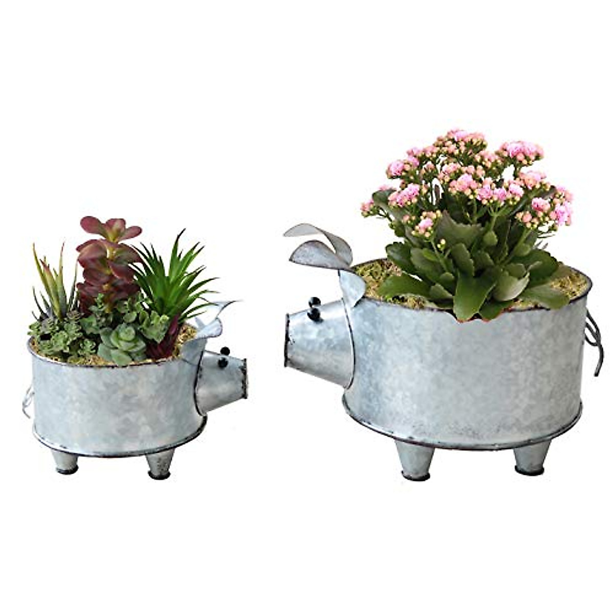 ShabbyDecor Galvanized Metal Pig Bowl Farmhouse Pig Succulent Planter Set of 2