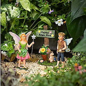 PRETMANNS Fairy Houses for Fairy Gardens - an Adorable Fairy Garden Castle with Outdoor Fairy Garden Accessories - Fairy House & Fairies for Fairy Garden - Fairy House Kit & Prince & Princess Fairies