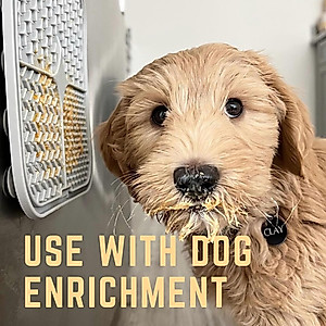 Bow-Wow Blueberry (probiotic + prebiotic) + Cranberry Canine (hip + joint) BUDDY BUDDER, 100% Natural Dog Peanut Butter, Healthy Peanut Butter Supplements, Made in USA (17oz jars)