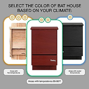 Kenley Bat House - Large Bat Box for Outside with Double Chamber - Handmade from Cedar Wood - Weather Resistant Bat Houses for Outdoors - Roosting Bat Boxes Designed to Attract Bats - Easy to Install
