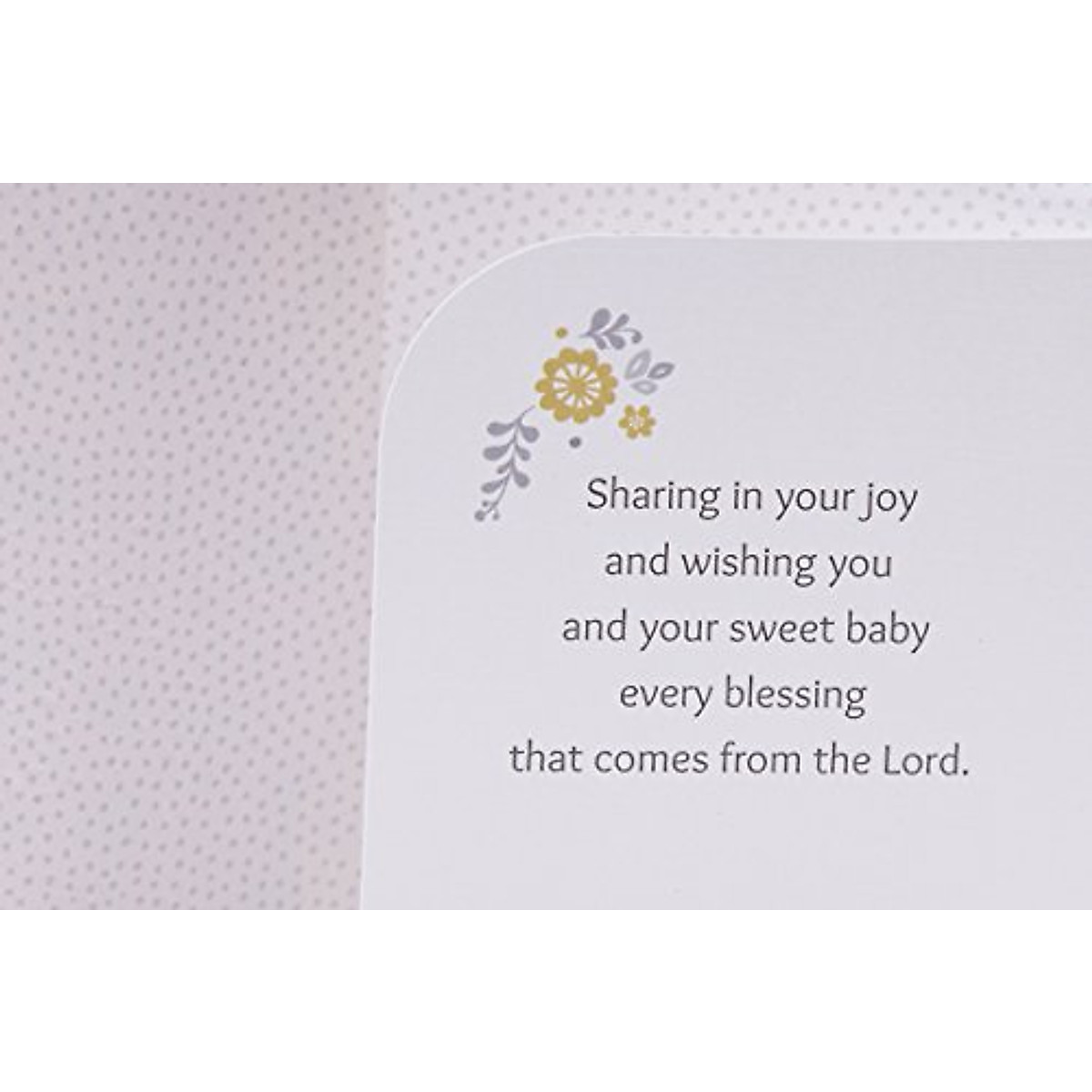 Hallmark DaySpring Baptism Money Holder Greeting Card (Lamb and Flowers) - 0299RZA1003