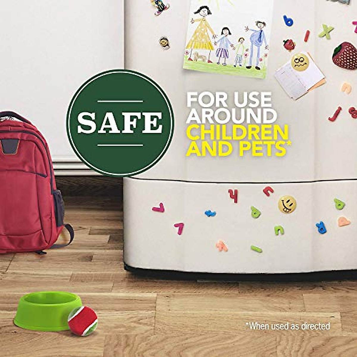 Raid Ant and Roach Killer Aerosol Spray with Essential Oils 11 Ounce (Pack of 2)