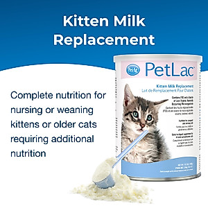 Pet-Ag PetLac Powder for Kittens - 10.5 oz, Pack of 4 - Kitten Milk Replacement Powder for Kittens Newborn to Six Weeks Old - Easy to Digest