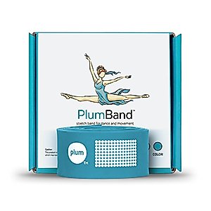 The PlumBand Stretch Band for Dance and Ballet – Colors and Sizes for Kids & Adults – Improve Your Splits, Strength, and Flexibility with Stretching (Sky Blue, Regular)