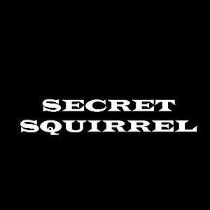 CafePress Secret Agent Mug Ceramic Coffee Mug, Tea Cup 11 oz