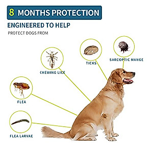Advanllent Flea Collar for Dogs, 8 Month Flea and Tick Prevention for Dogs, 27 Inch Adjustable