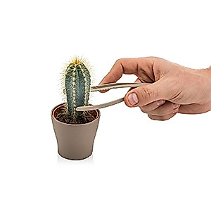 Generic Mini Garden Hand Transplanting Succulent Cacti Cactus Tools Miniature Planting, Set for Fairy Garden, Potting, Houseplant, Bonsai Tools, Bonsai Kit, Shovel, Fork, Green