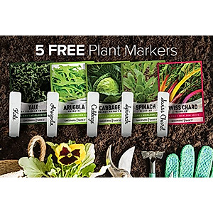 Power Greens Seeds for Planting Individual Packets 5 Variety Pack - Arugula, Spinach, Swiss Chard, Kale, Cabbage Seeds for Your Heirloom Salad, Winter, Fall and Cool Weather Garden by Gardeners Basics