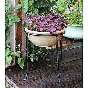 Achla Designs FB-14 Ring Wrought Iron Metal Plant birdbath Bowl Stand Flowerpot Holder, Black