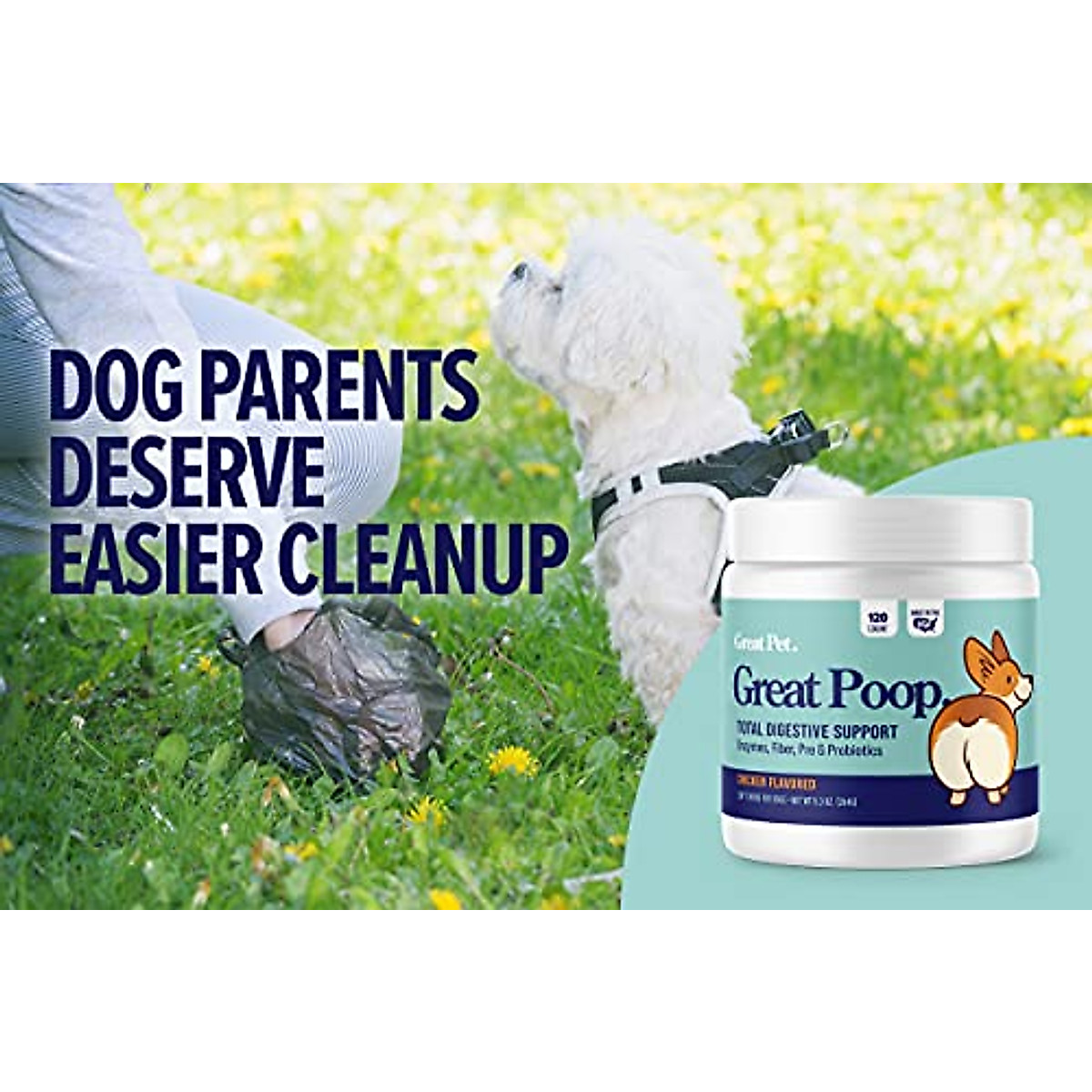 Great Poop Probiotics for Dogs - A Fiber for Dogs Supplement with Dog Probiotics and Digestive Enzymes for a Healthy Gut, Firm Stool & Diarrhea Relief - Chicken Flavored Pet Soft Chews with Prebiotics