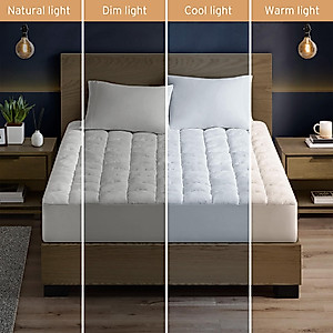 Intelligent Design Twin Mattress Pad, Overfilled High Density Down Alternative Fill, Extra Fluffy 3D Puff Mattress Topper Soft Microfiber Mattress Cover, Fitted Pocket Fits Up to 18", Queen, White