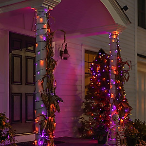 Dazzle Bright 2 Pack Total 400LED 132FT Halloween Solar String Outdoor Lights, 8 Modes Waterproof Halloween Lights for Bedroom Patio Garden Tree Party Yard Decoration (Purple & Orange)