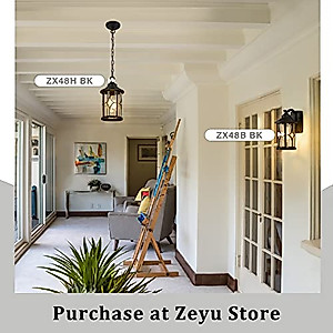 zeyu Outdoor Pendant Light for Porch - 12 Inch Farmhouse Exterior Hanging Lantern with Seeded Glass, Black Finish, ZX48H BK