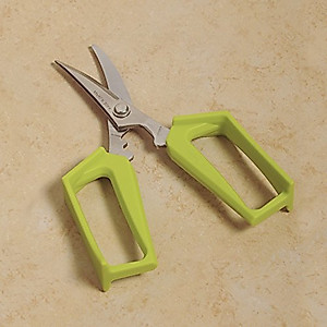 Nisaku NJP880-GRN Seafood & Shellfish Scissor made from Tomita (Est. 1960) Japanese Stainless Steel, 4", Green