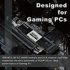 Nextorage Japan 1TB NVMe PCIe Gen.4 M.2 Internal SSD (Read Speed up to 7300MB/s Write Speed up to 6000 MB/s)