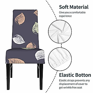 Numland 1 Pack Delightful Garden Leaves Dining Room Chair Covers Colorful Fall Autumn Leaf Short Stretchable Polyester Removable Washable for home Restaurant Banquet