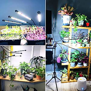 wolezek Grow Lights for Indoor Plants, 4-Head Full Spectrum LED Grow Light with Adjustable Tripod Stand 15-61 inches for Seed Starting, 3500K 6500K 660nm White Red Floor Plant Lamp with 4/8/12H Timer