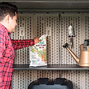 Lifetime Outdoor Utility Storage Shed with Double Wall Steel-Reinforced Construction, 6.3 x 3.6 FT