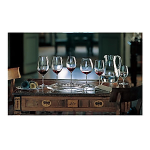 Riedel Vinum Sauvignon Blanc or Dessertwine Glasses 4 Pack Bundle with Wine Pourer with Stopper (2 Items)