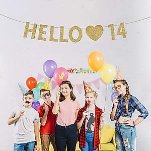 Gold Hello 14 Birthday Banner, Gold Glitter Happy 14th Birthday Party Decorations, Supplies