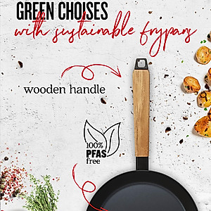 Alva Forest Nonstick Carbon Steel Frying Pan Skillet Pre-Seasoned Non Toxic 9.5" PFAS, PFOA & PFTE Free, for Cooking Pan Set, Induction Safe, Add to Your Pots and Pans Set Cookware