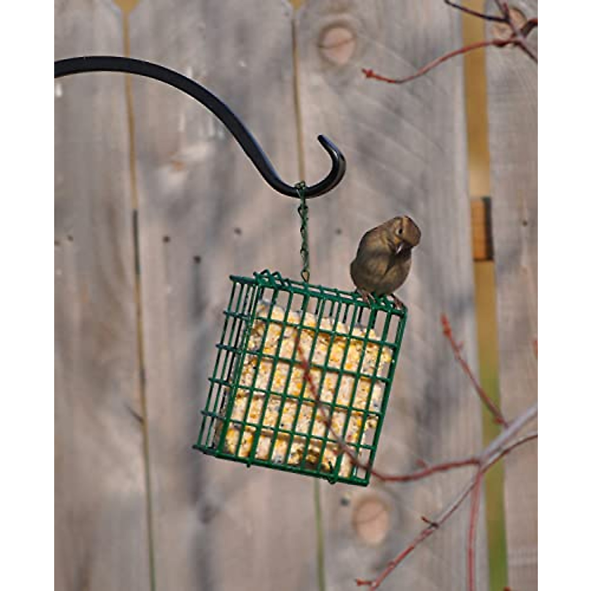 C&S Fruit n' Nut Treat