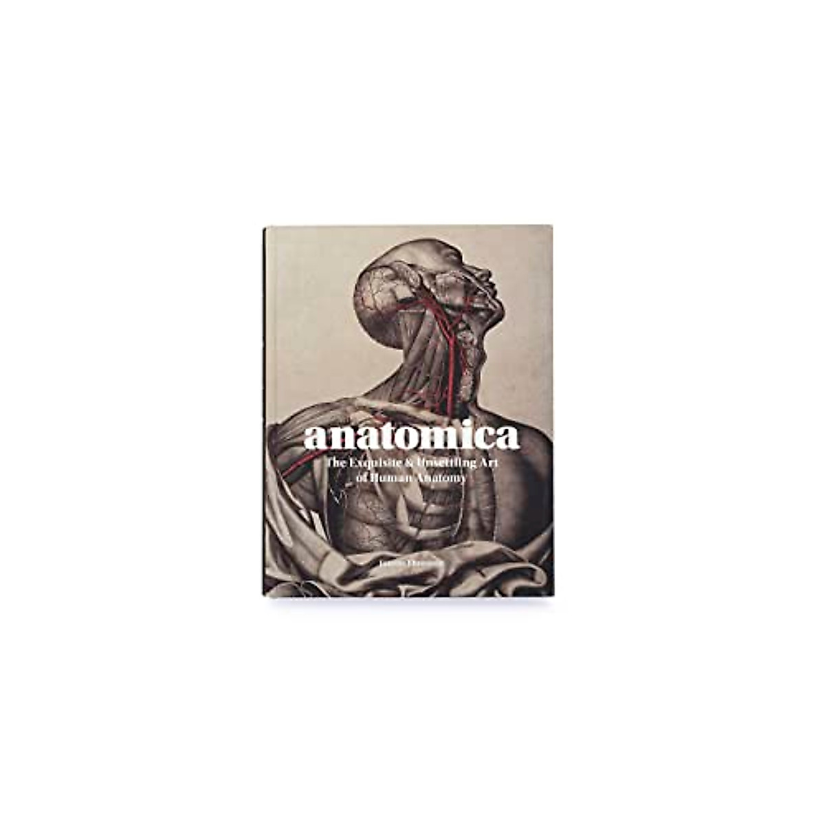 Anatomica: The Exquisite and Unsettling Art of Human Anatomy